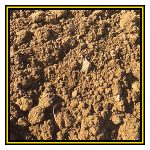 Prowler Rubber Tracks for Skid Steers, Excavators, Track Loaders
